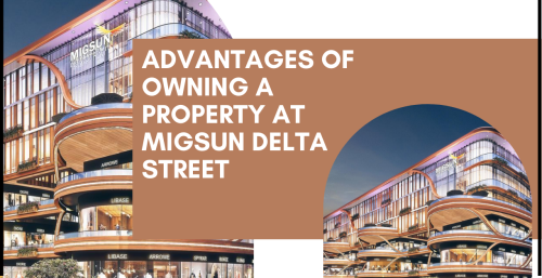 Advantages of Owning a Property at Migsun Delta Street | Migsun Group